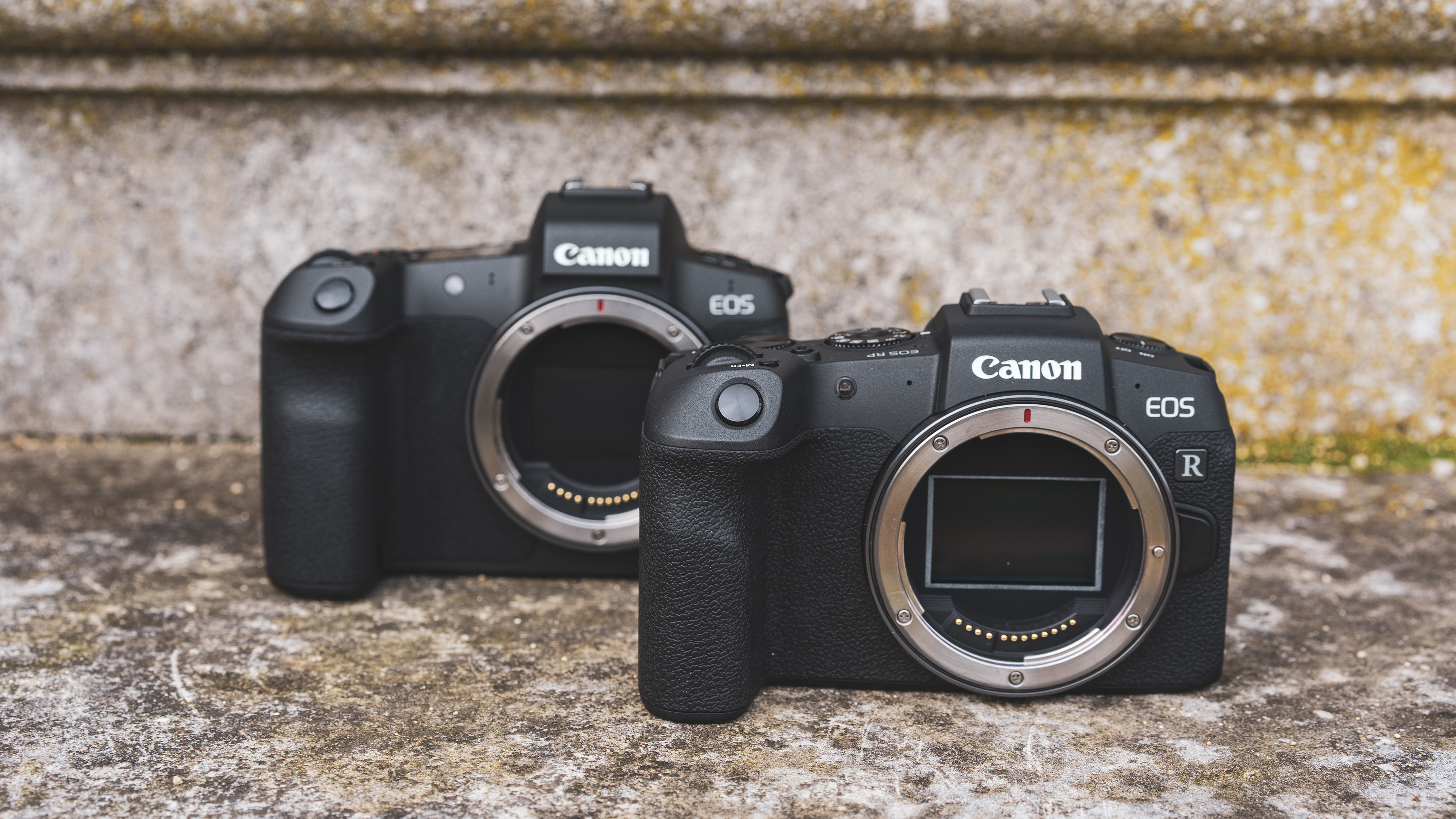 Canon Ph t H nh Firmware B n 1 4 0 Cho EOS R B n 1 3 0 Cho EOS RP Canon Ph t H nh Firmware B n 1 4 0 Cho EOS R B n 1 3 0 Cho EOS RP