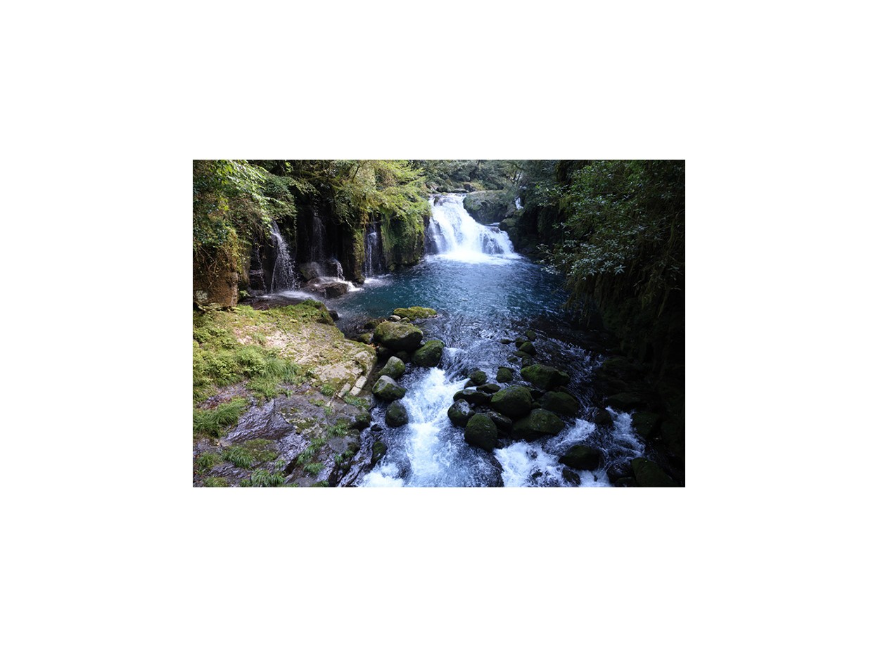 Canon R8 (Body) Chính hãng | Máy ảnh R8 Giá tốt - Trả góp 0%